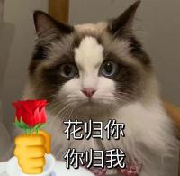 爱了图片浏览 爱了图片下载 酷吧图库